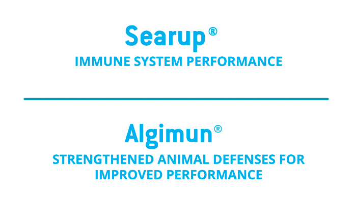 Olmix Group launches its Animal Care range in Egypt - Olmix