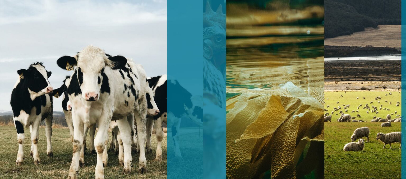 Olmix - Des solutions innovantes et biosourcées pour une agriculture ...