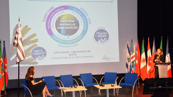 Algae valorization at ‘the Most Beautiful Bays of the World Congress ...