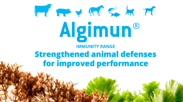 Algimun® - Olmix