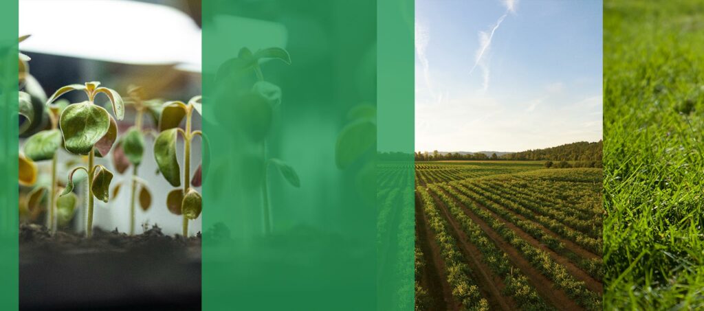 Olmix - Innovative biosourced solutions for a smart and sustainable ...