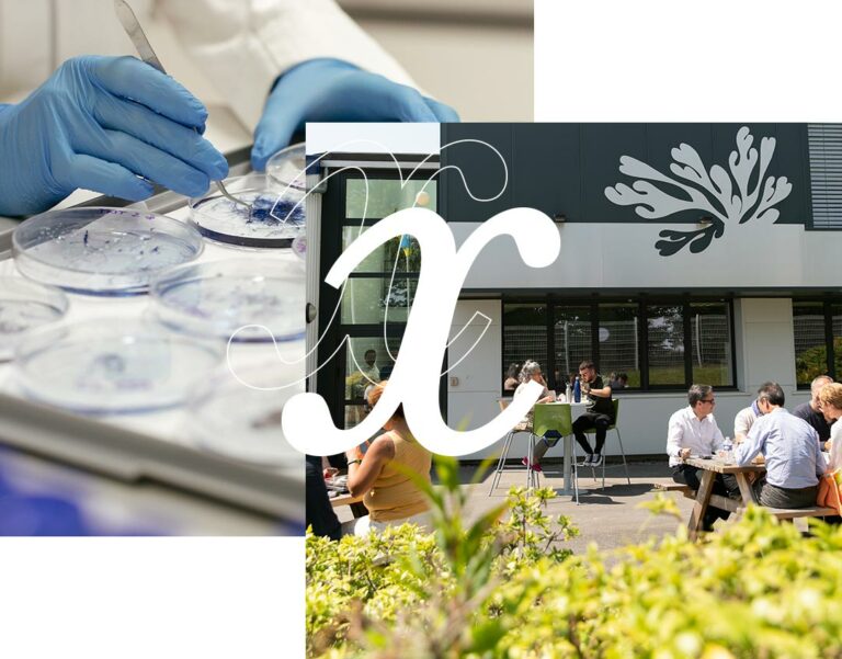 Olmix - Innovative biosourced solutions for a smart and sustainable ...
