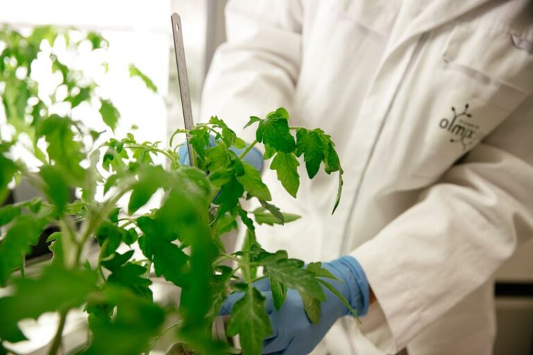 Plant Care Technologies - Olmix