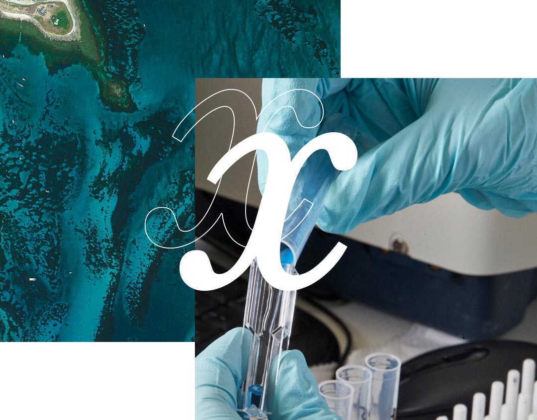 Research & Development - Olmix