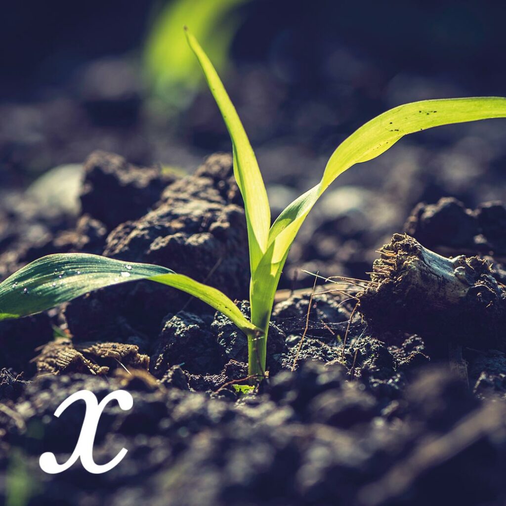 Plant Care Technologies - Olmix