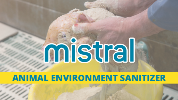 Olmix’s animal environment conditioner mistral is back in the ...