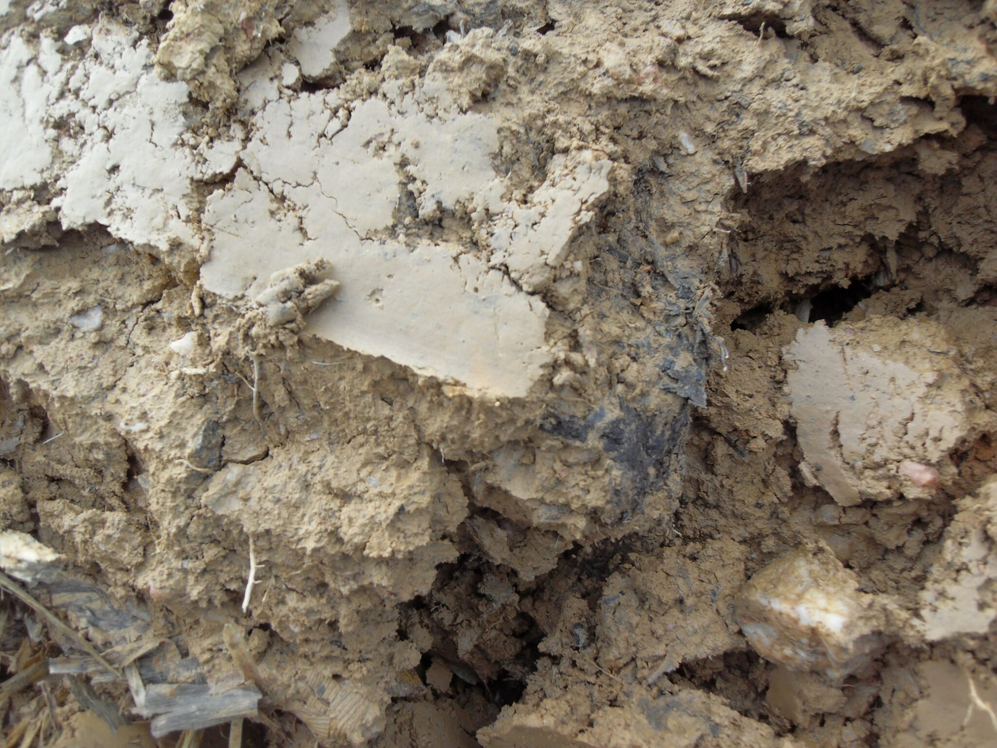 Olmix - Innovative biosourced solutions for a smart and sustainable ...