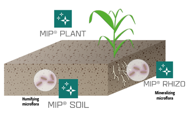 Plant Care Technologies - Olmix